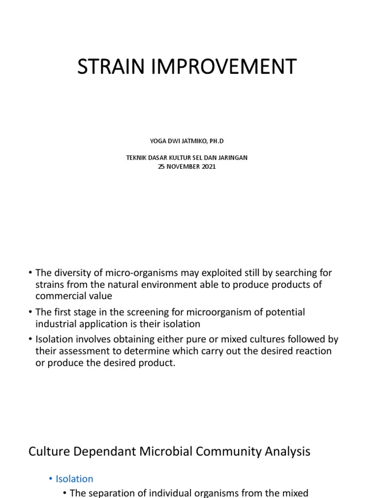 Strain Improvement | PDF | Freeze Drying | Mutation