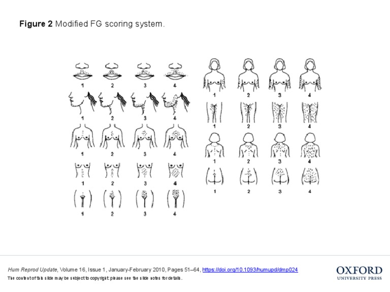 Figure 2 Modified FG Scoring System.: Hum Reprod Update, Volume 16 ...