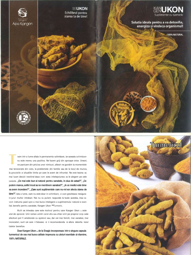 Brosura Turmeric-Kangen Ukon | PDF