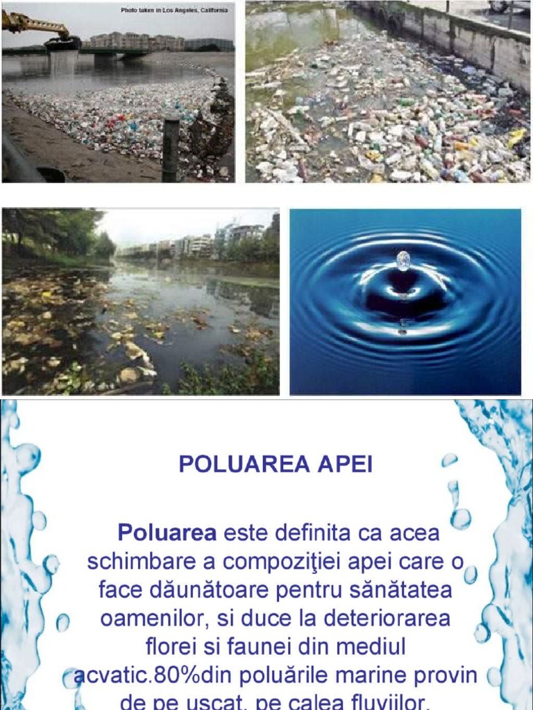 Poluarea Apei | PDF