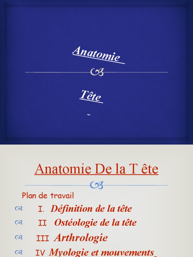 Anatomie de la tête et ses fonctions | PDF | Articulation (anatomie ...
