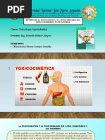 Toxicocinética y Toxicodinamia | PDF | Toxicidad | Excreción