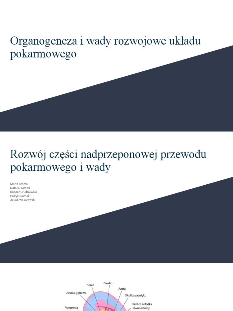 Organogeneza I Wady Rozwojowe Układu Pokarmowego | PDF