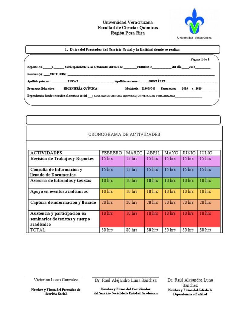 Formato Reporte Mensual SS | PDF