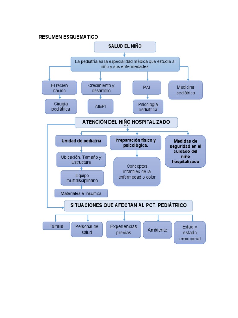 Resumen Esquematico | PDF