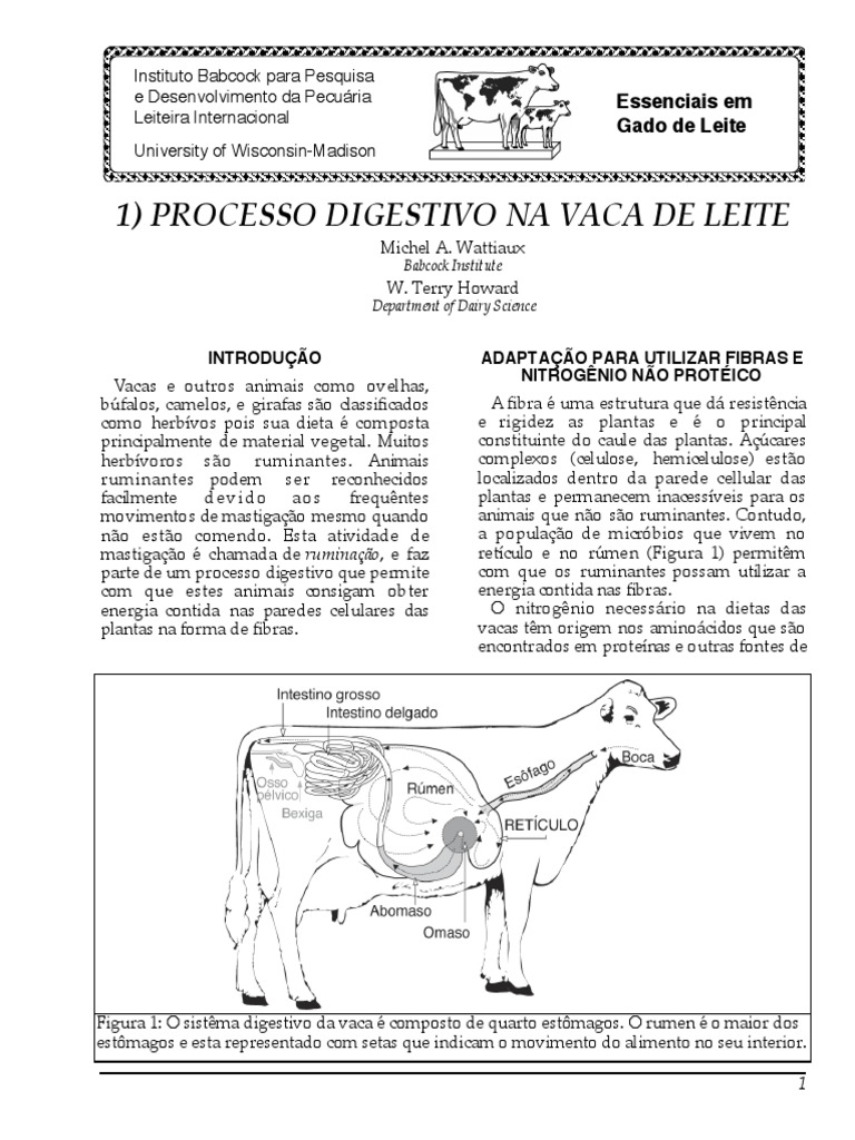 1) Processo Digestivo Na Vaca de Leite | PDF | Alimentos | Digestão