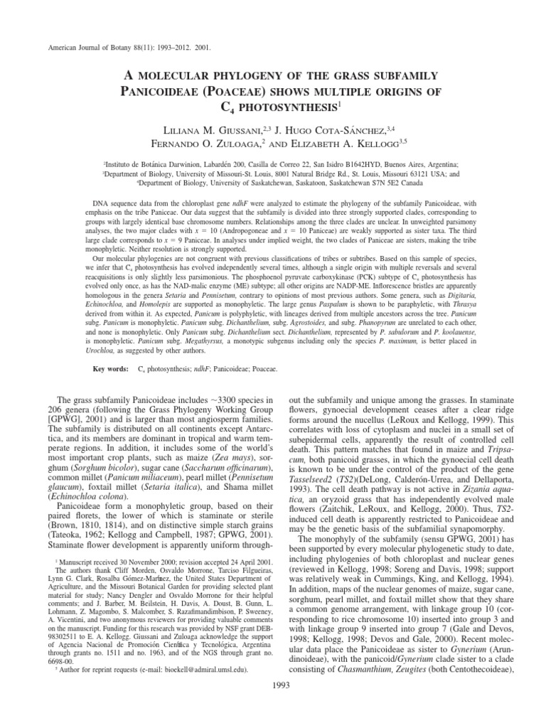 A Molecular Phylogeny of The Grass Subfamily Panicoideae Show Multiple ...