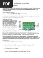 Floating Leaf Disk Photosynthesis Lab | PDF | Bicarbonate | Leaf
