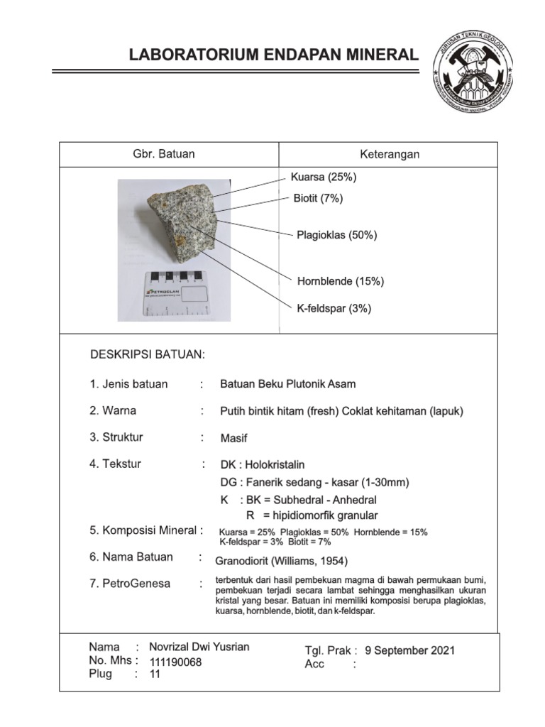Laboratorium Endapan Mineral | PDF