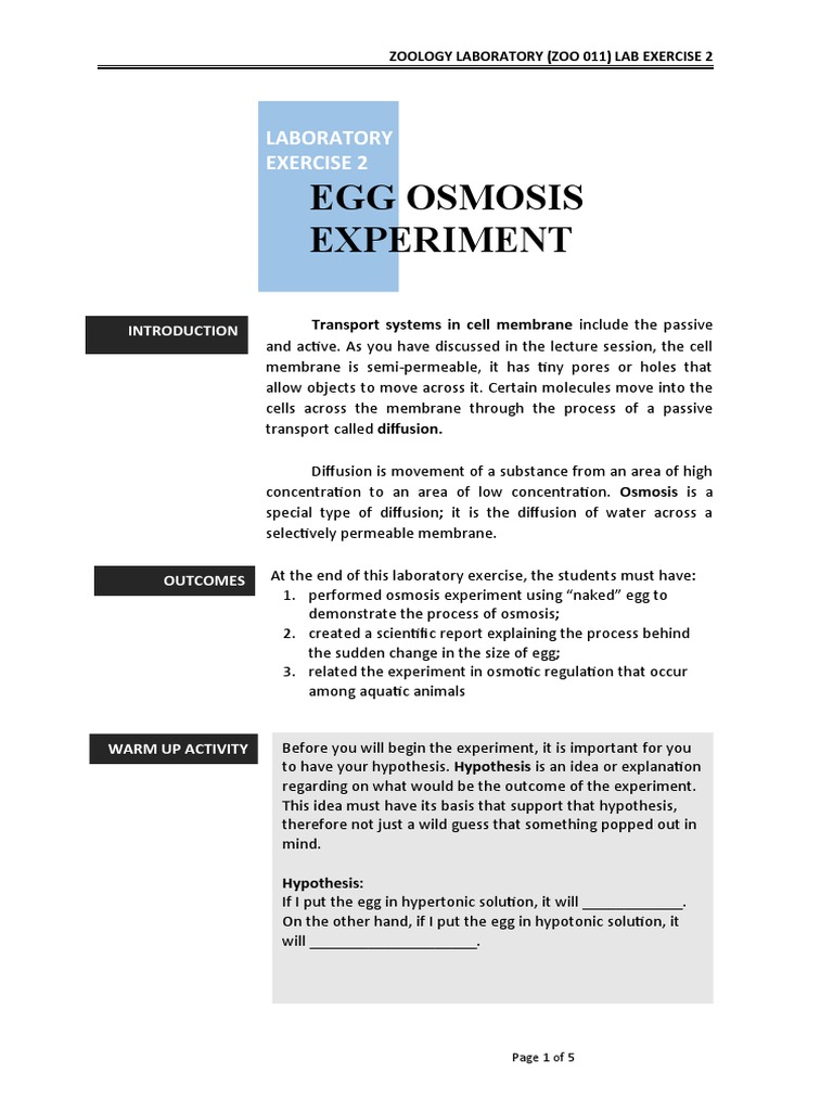Egg Osmosis Experiment: Laboratory Exercise 2 | PDF | Osmosis | Chemistry