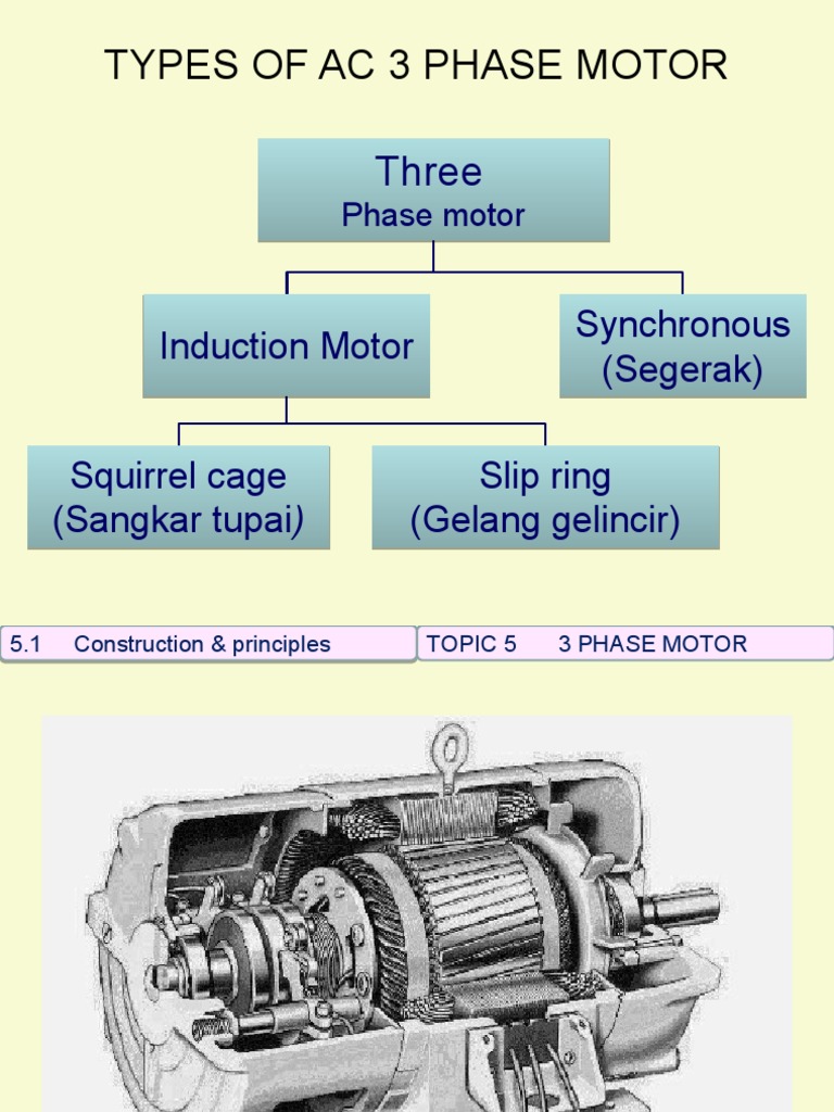 Types of Ac 3 Phase Motor Three | PDF | Electric Motor | Machines