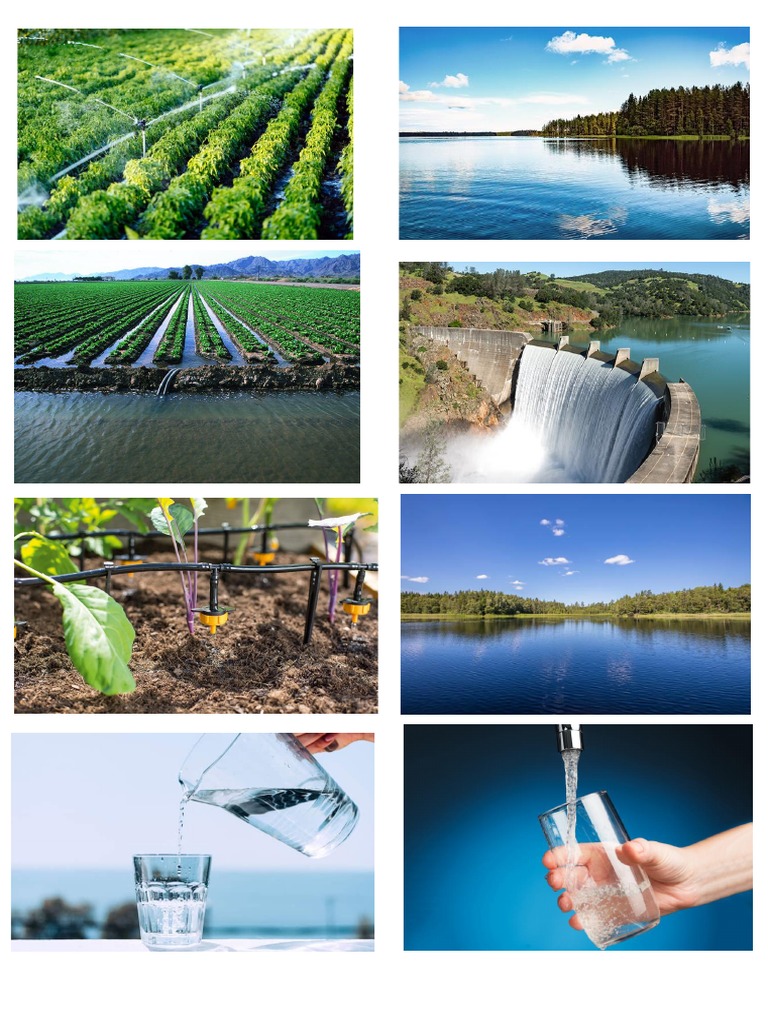 Water Security Project - 2 | PDF