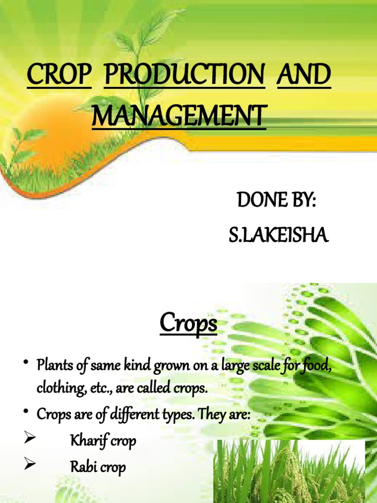 Crop Production and Management | PDF | Irrigation | Agriculture