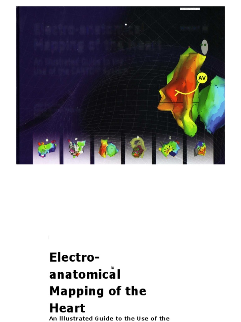 Electro-Anatomical Mapping of The Heart | PDF | Atrium (Heart) | Heart