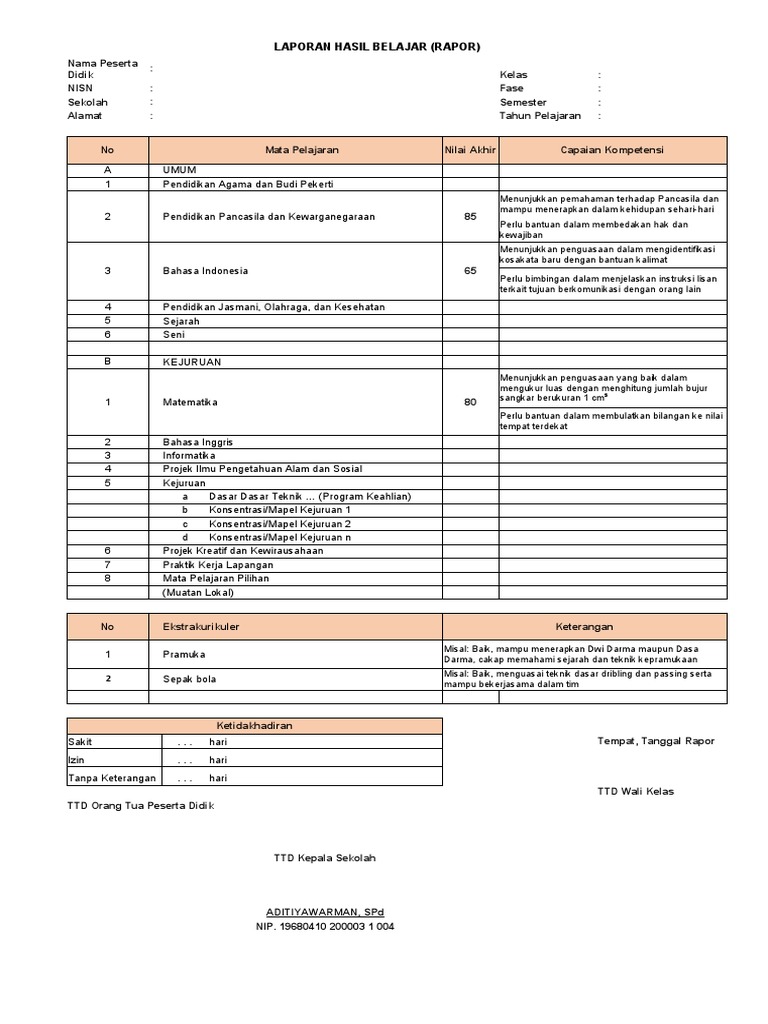 Format Raport SMK PK 1 | PDF