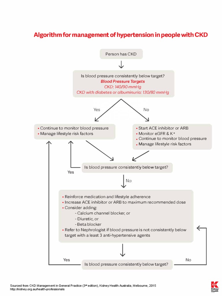 03 - Algorithm For Management of Hypertension in People With CKD | PDF ...