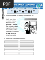 Cuadernillo BR - BL | PDF