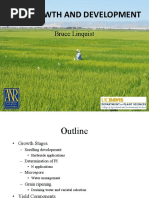 A NARRATIVE REPORT ON TREE Planting | PDF | Botany | Organisms