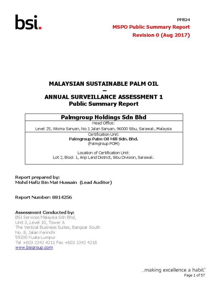 Mspo Public Summary Report Palmgroup Mill Asa1 | PDF | Audit ...