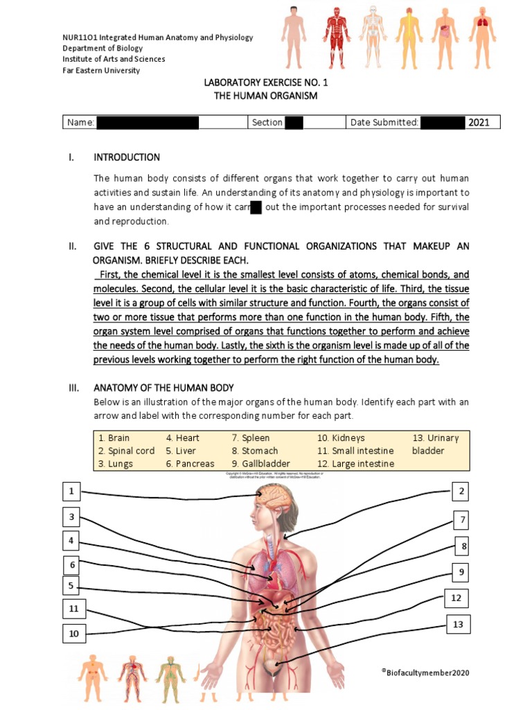 Laboratory Activity #1 - The Human Organism | PDF