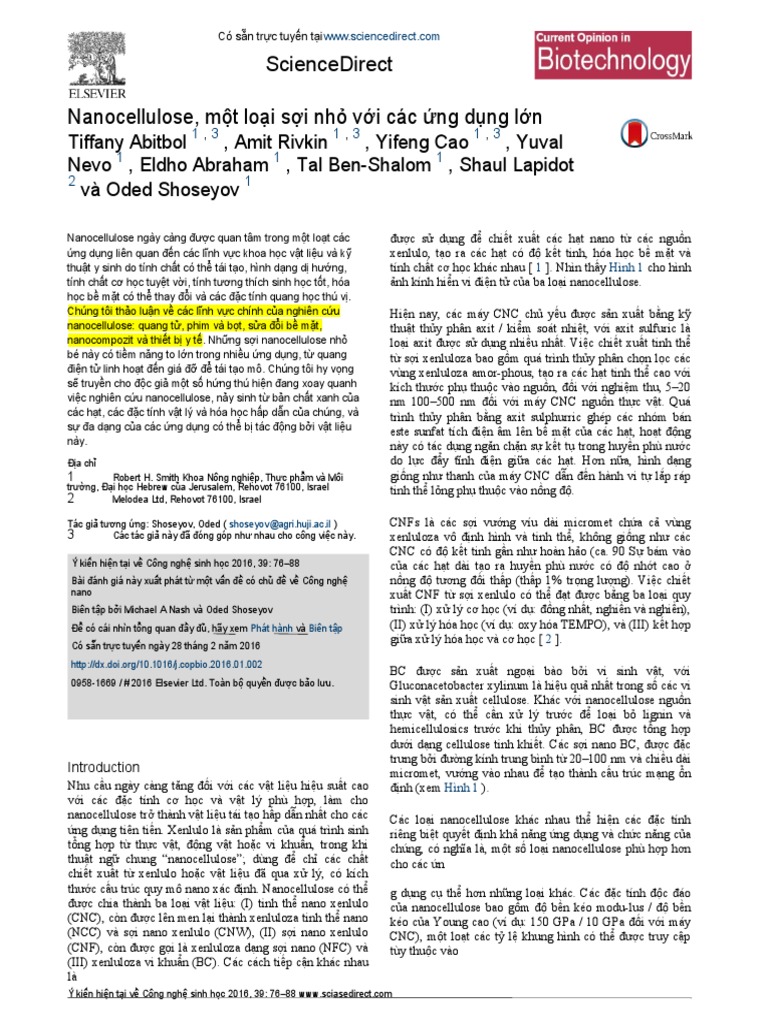 Nanocellulose A Tiny Fiber With Huge Applications PDF | PDF
