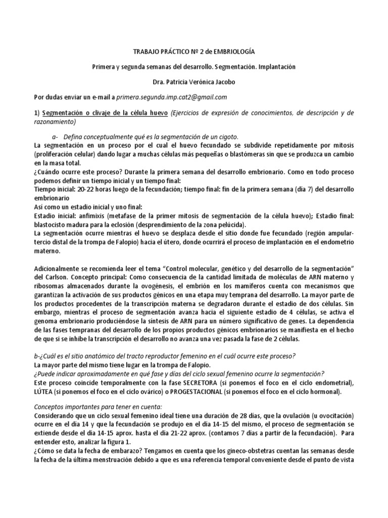 Guía de TP 2 Embrio 1 y Semanas Segmentacion e Implantacion RESUELTA | PDF | Implantación ...