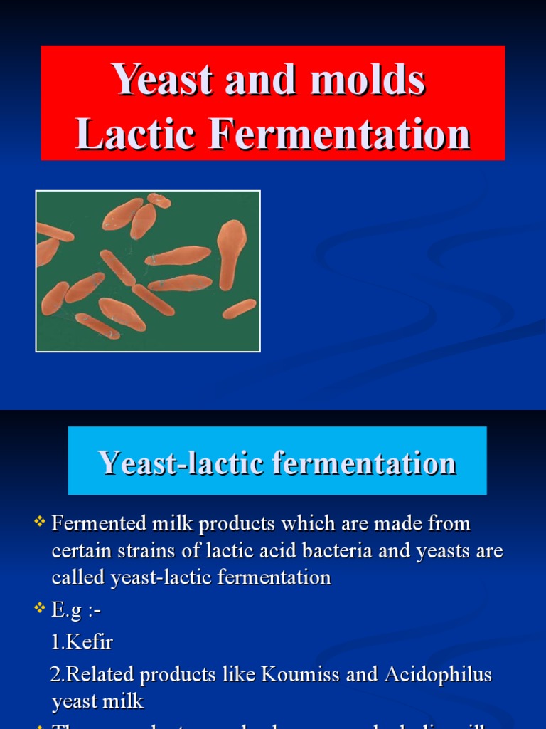 Yeast and Molds Lactic Fermentation | PDF | Milk | Lactic Acid