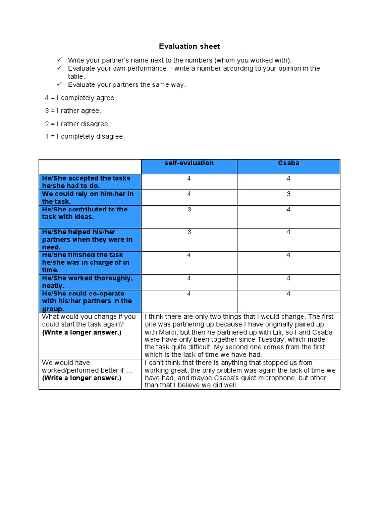 Self and Peer Evaluation | PDF