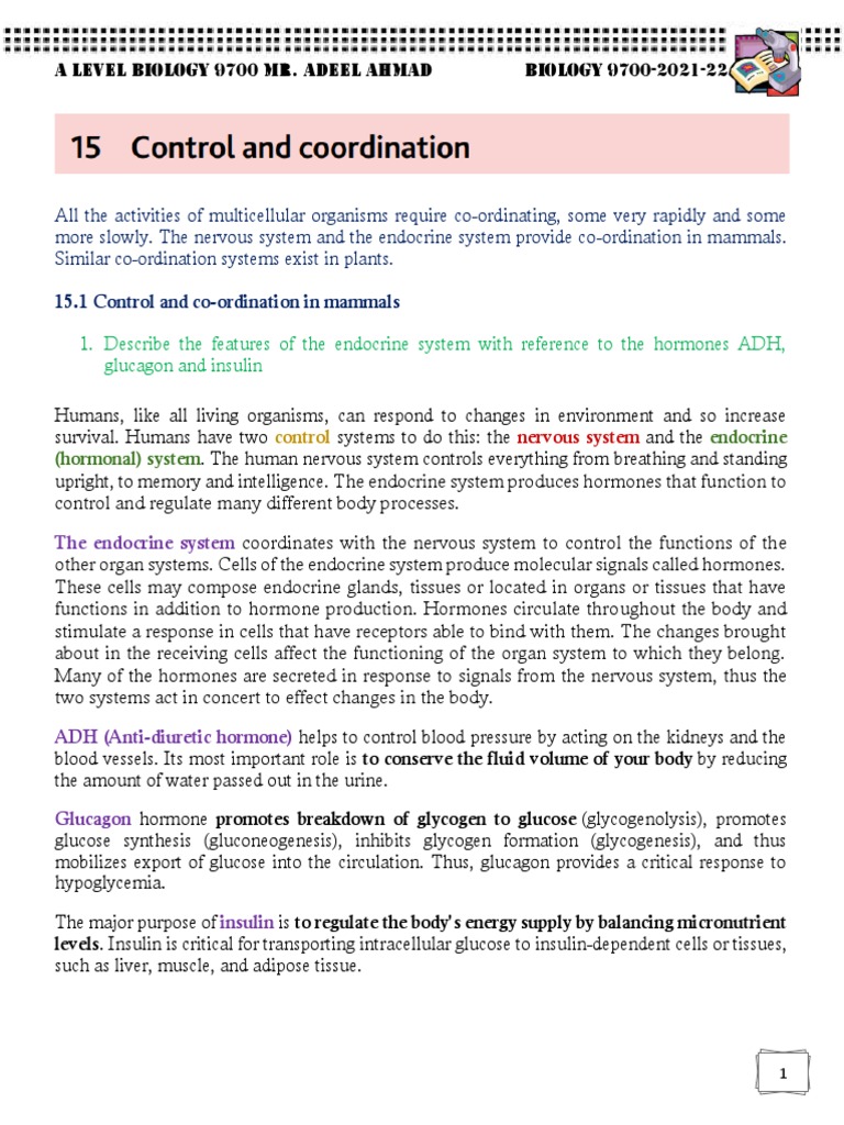 Control and Co-Ordination 2021-2022 A Level Biology 9700 Notes by Mr ...