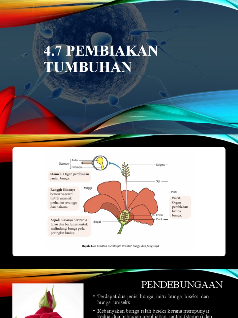 4.7 Pendebungaan (1) DD | PDF