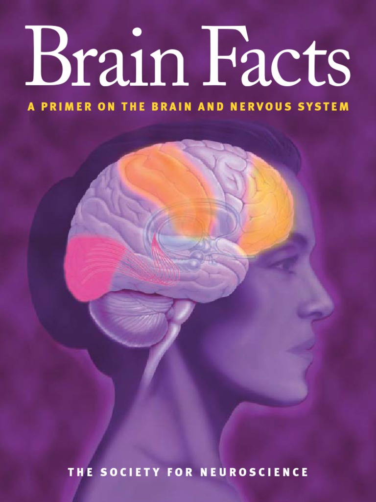 Livro - Brain Facts A Primer On The Brain and Nervous System - The ...