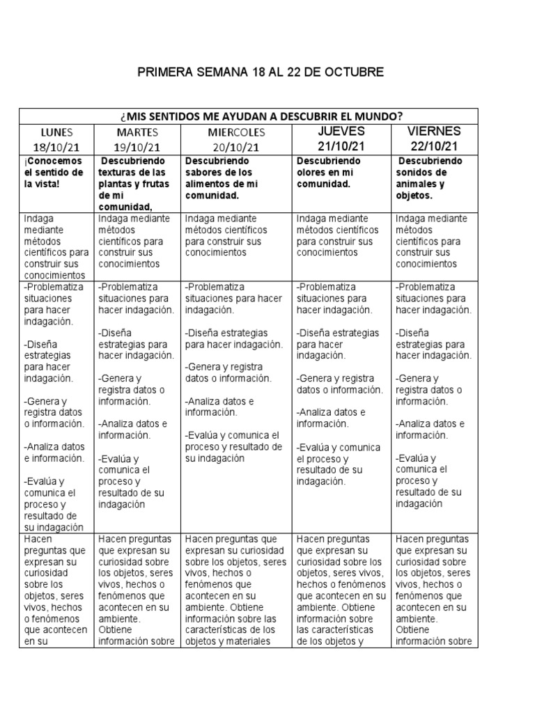 Cuadro de Programa | PDF