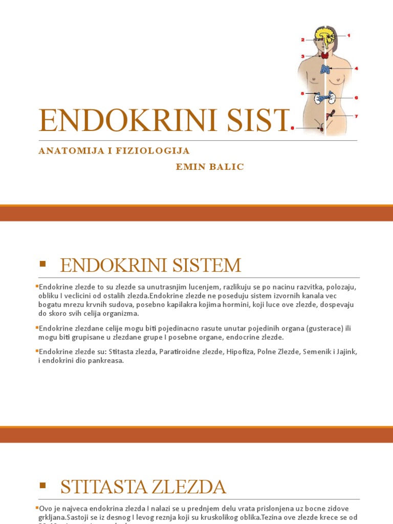 Endokrini Sistem | PDF