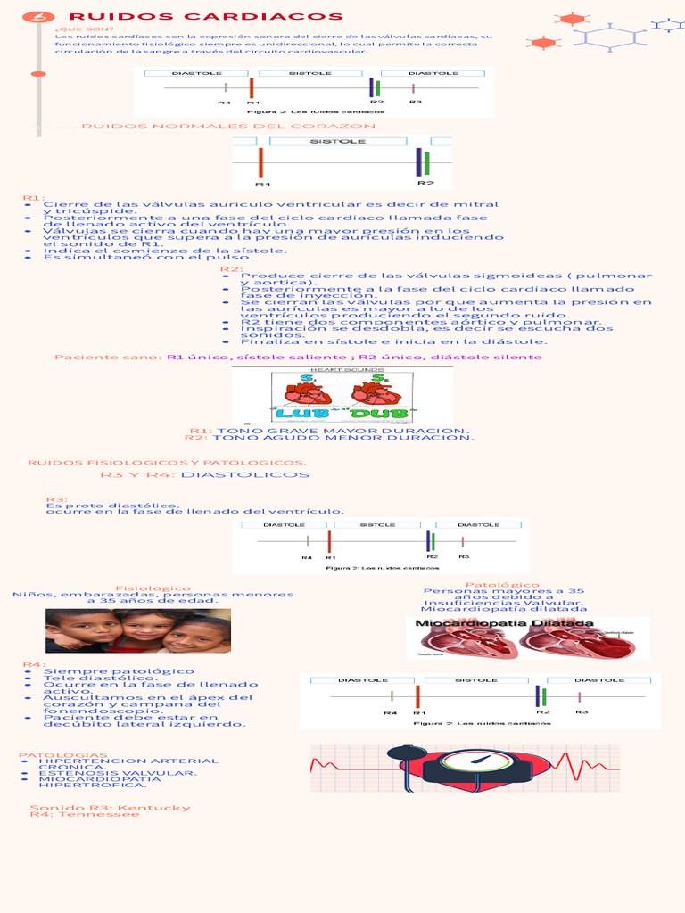 Ruidos Cardiacos | PDF | Corazón | Ventrículo (corazón)