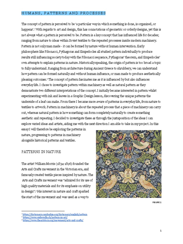 Art A Level Essay-Compressed | PDF | Pattern | Nature