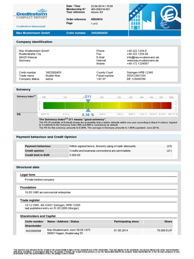 Sample Credit Report | PDF | Economies | Business