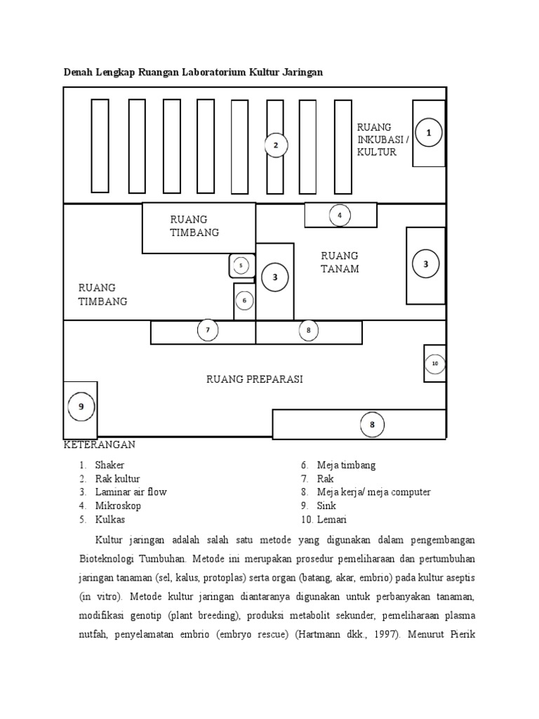 Denah Ruangan Laboratorium Kultur Jaringan | PDF
