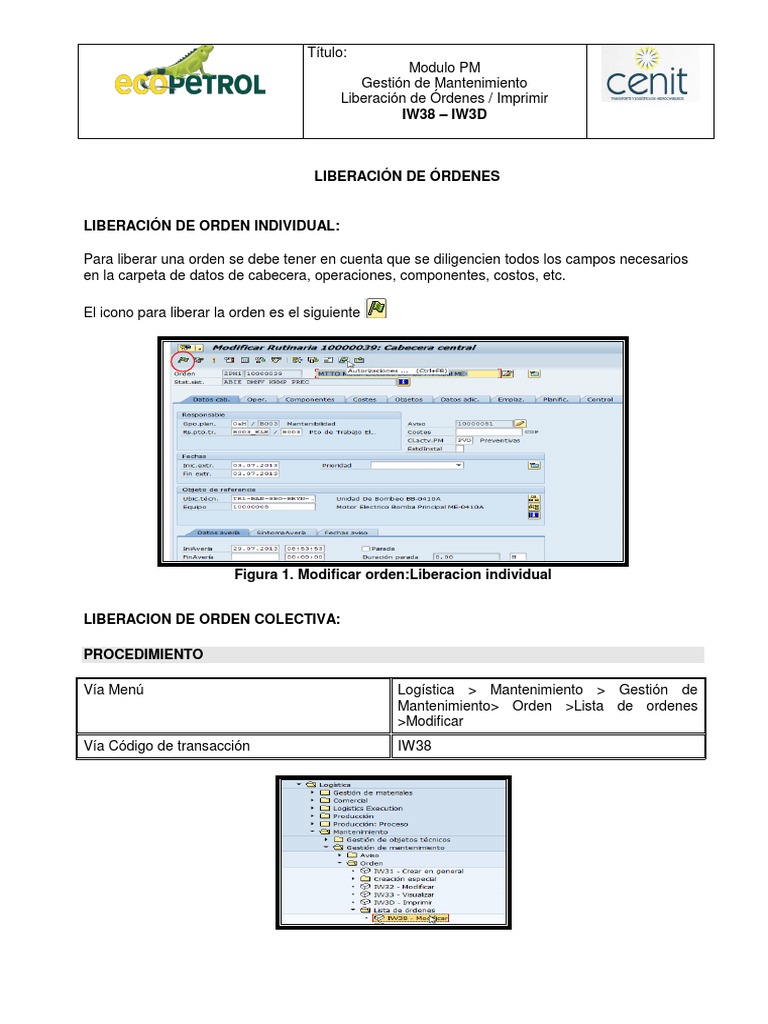 Liberar Lista Orden Por IW38 | PDF | Informática | Ciencias de la ...