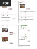 Pembahasan Kisi Kisi Soal SSW PM 2024 | PDF