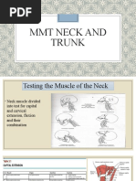 MMT Face | PDF | Human Anatomy | Human Head And Neck