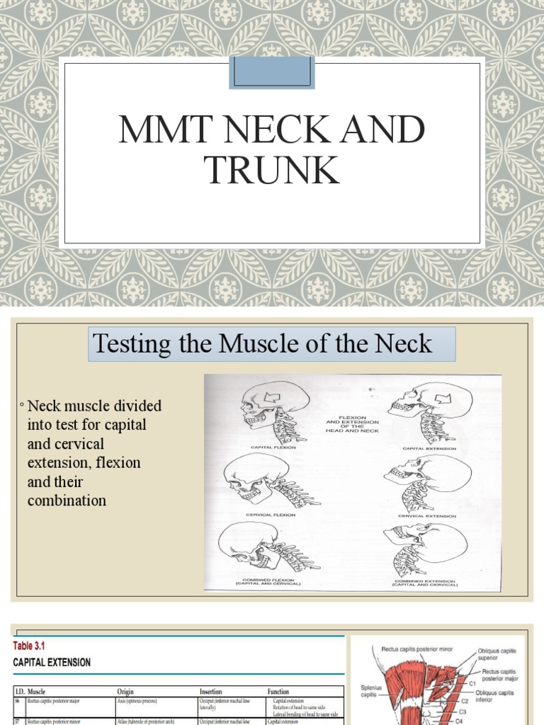 MMT Neck An Trunk-Fix | PDF | Anatomical Terms Of Motion | Human Leg