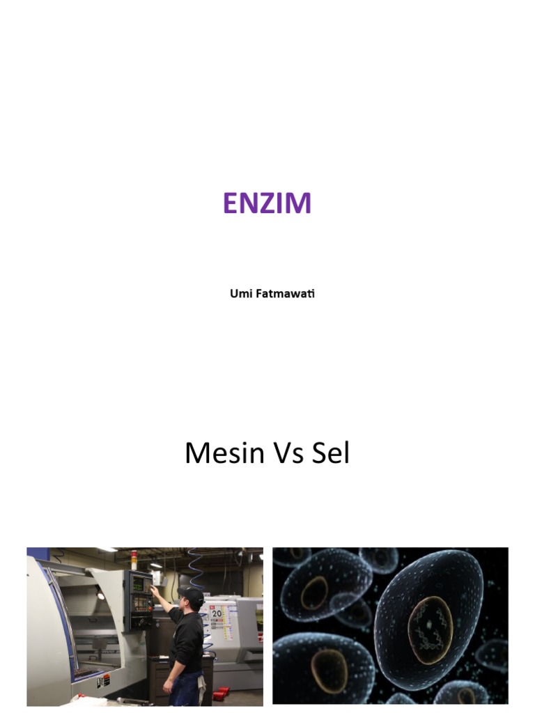Enzim | PDF