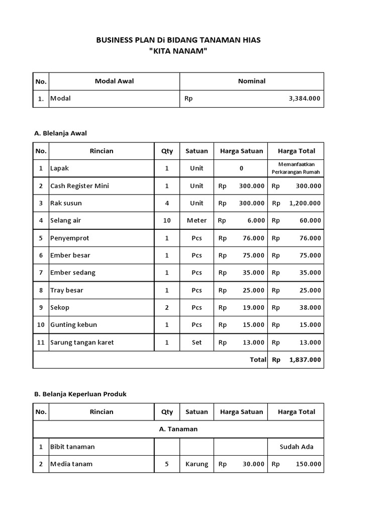 Business Plan (Afriyani) | PDF