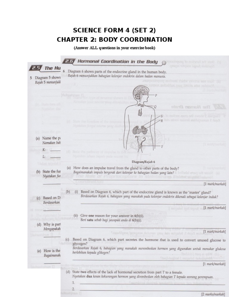 Science Form 4 (Set 2) Chapter 2: Body Coordination: (Answer ALL ...