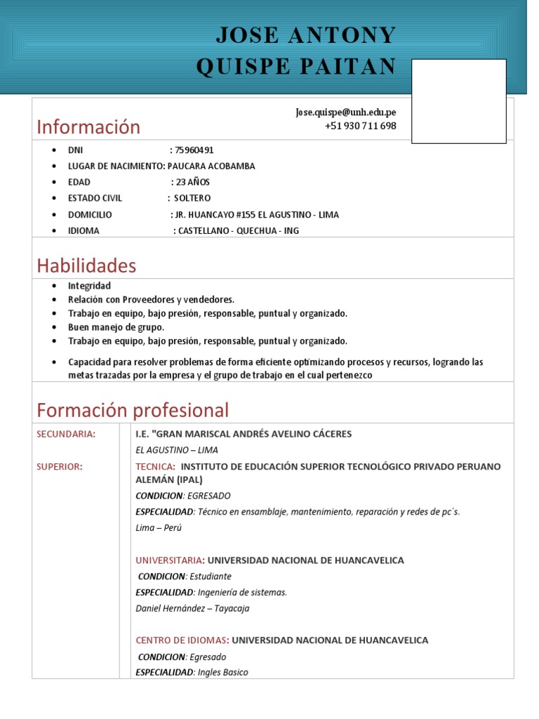 CV Jose | PDF | Informática | Perú
