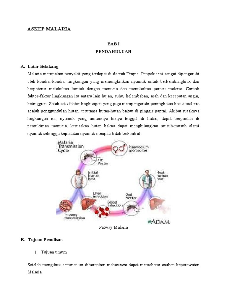 Askep Malaria | PDF | Sains & Matematika