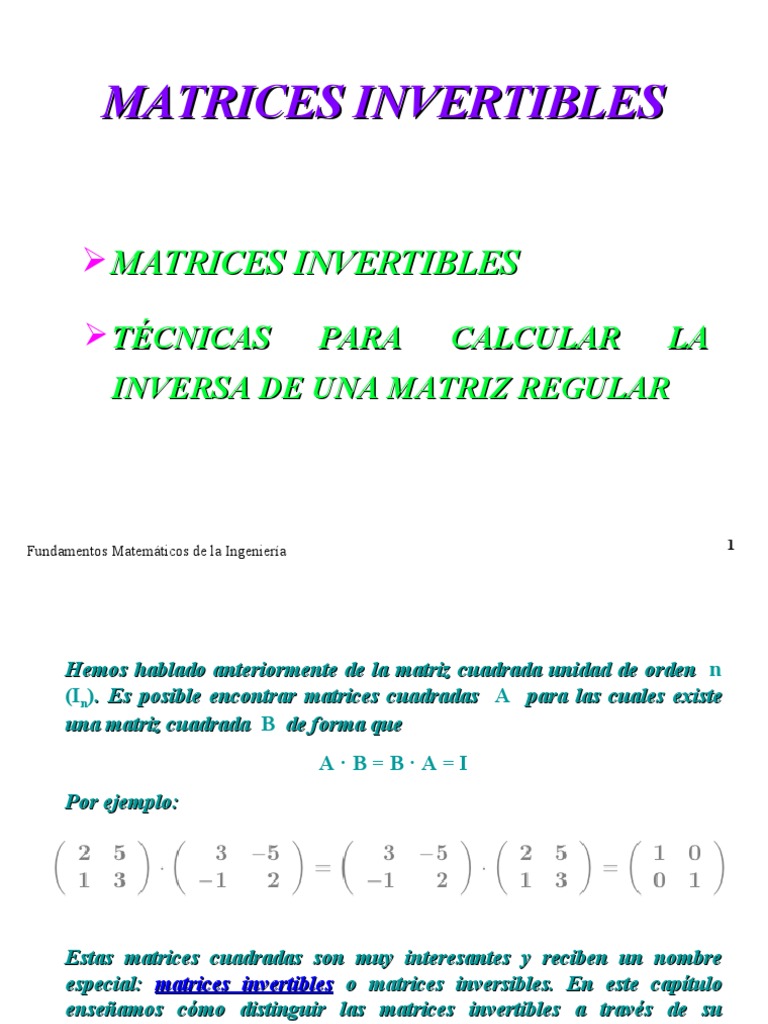 Matrices-Regulares o Invertibles | PDF | Matriz (Matemáticas) | Álgebra ...