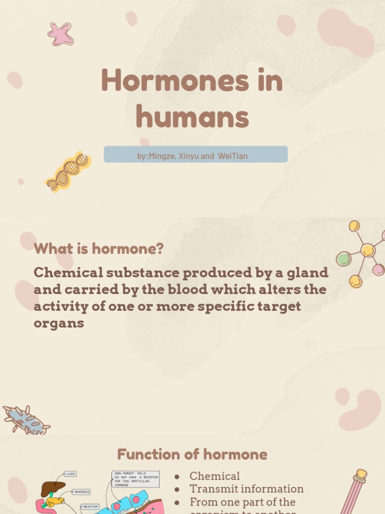 An Overview of Hormones in Humans: Their Functions, Effects, and the ...