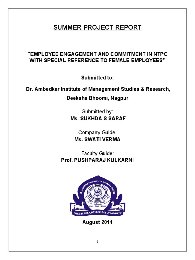 Sip Report Format 2014 | PDF | Economies