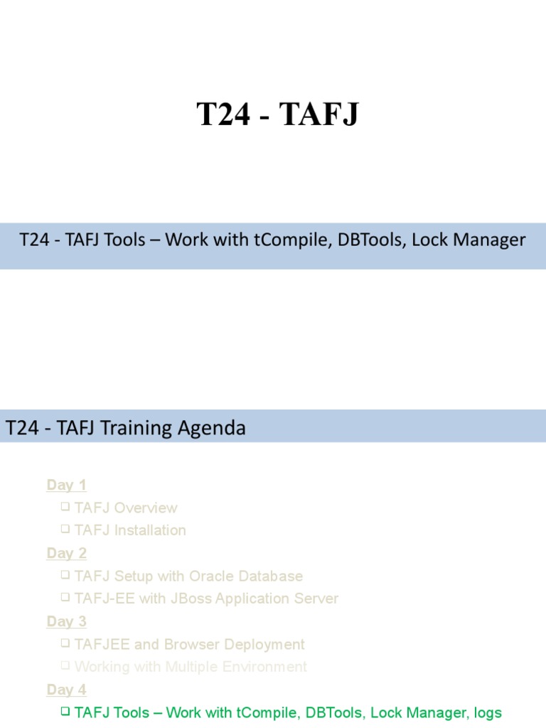 TAFJ Tools - Work With DBTools, Lock Manager | PDF